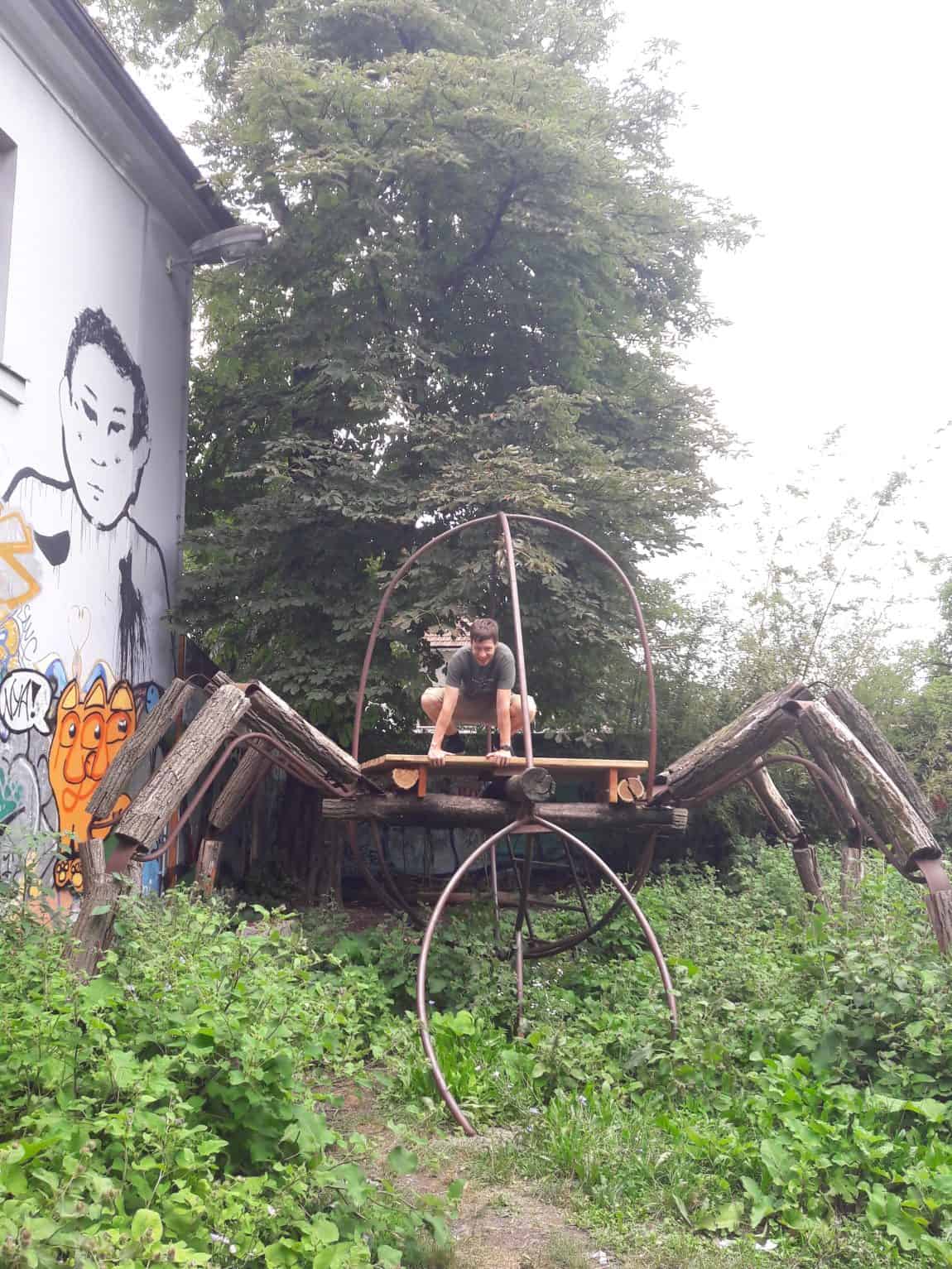 Verbotene Souvenirs: Was darf ich mit zurückbringen und was auf keinen ...