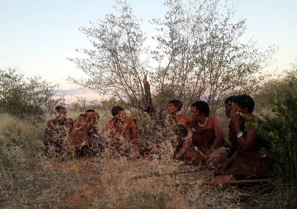 Unvergessliche Rundreise durch das spektakuläre Botswana - TUI.com ...