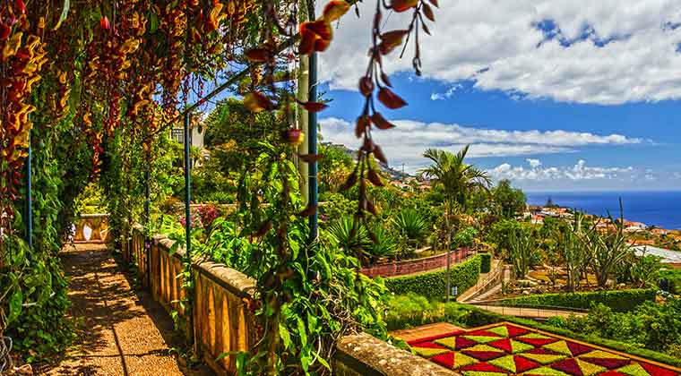 Blumenfest Madeira 2020: Warum ihr es nicht verpassen solltet!