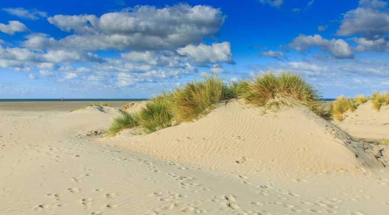 Wo ist der schönste Holland Strand? - TUI.com Reiseblog ☀