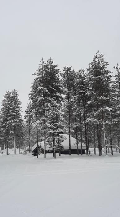 TOP 6 Erlebnisse in Rovaniemi - TUI.com Reiseblog ☀