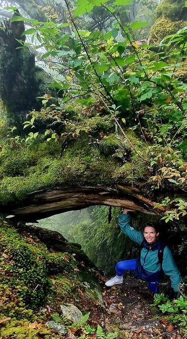 Unbekanntes Japan: 5 gute Gründe für eine Reise nach Shikoku - TUI.com ...