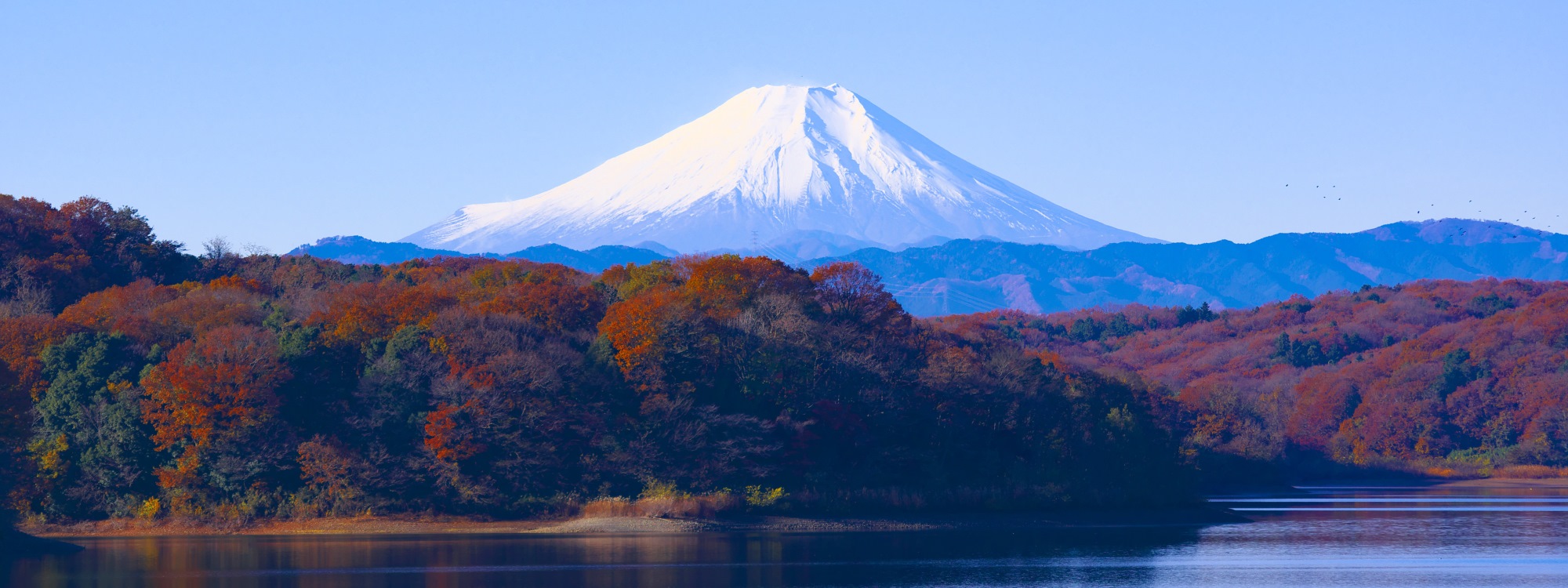 Japan Reisen - Das Land des Lächelns | Japan Urlaub | TUI.com