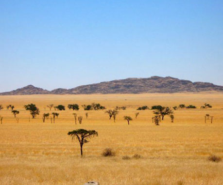 Namibia Reisen » Dünen, Canyons und wilde Tiere erleben | TUI.com