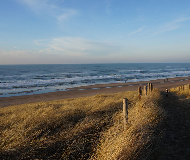 Strandurlaub Holland » Hotels für Holland Urlaub am Meer | TUI.com