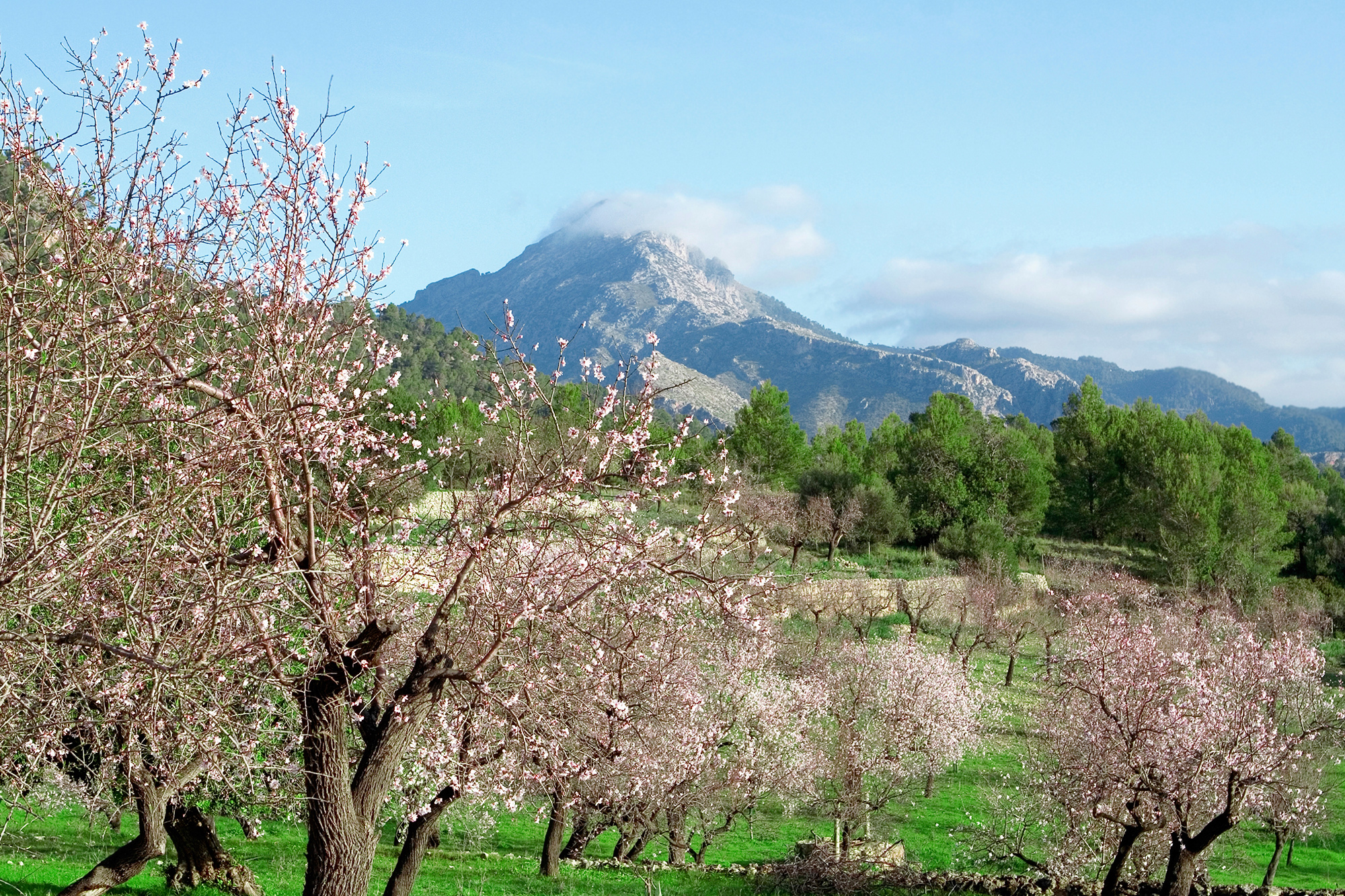 Reiseziele Februar: Wo gibt es warmes Wetter & Sonne? - TUI.com