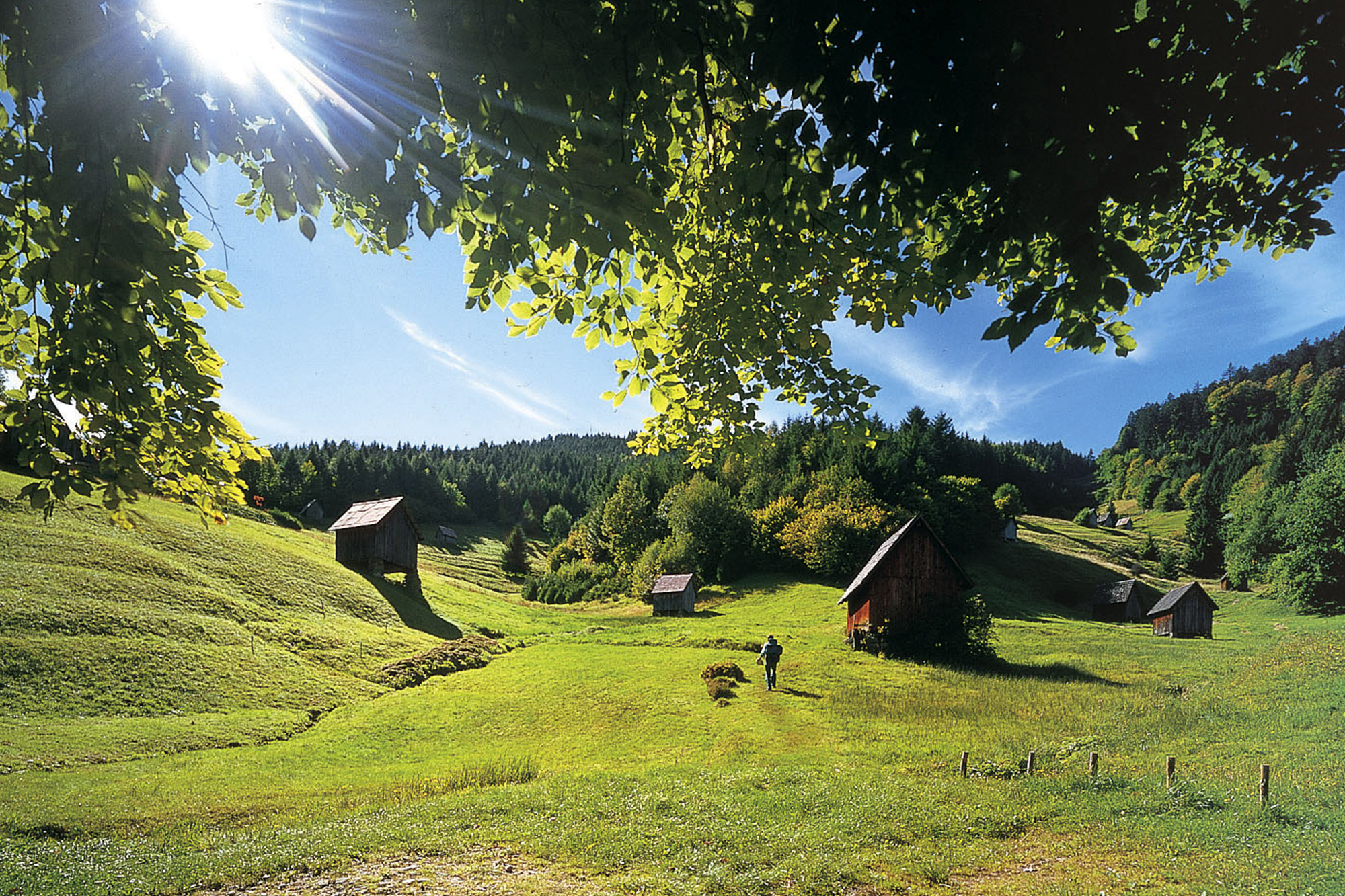 Urlaub Bayern » Mit TUI bayerische Bergwelten entdecken