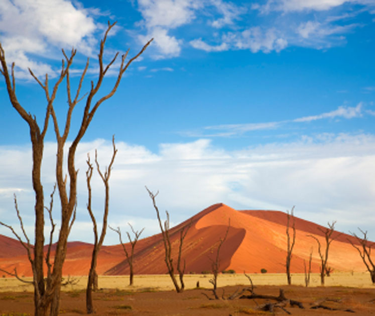 Namibia Reisen » Dünen, Canyons und wilde Tiere erleben | TUI.com